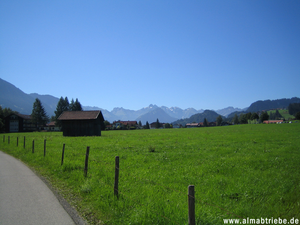Viehscheid in Buching im Allgäu am 15. September 2025Almabtrieb und ...